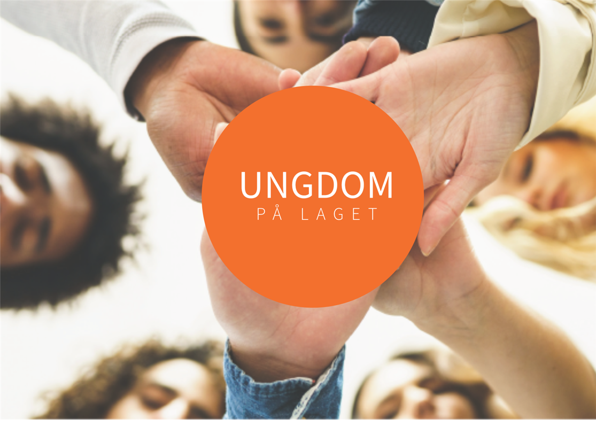 Prosjektplan - Ungdom på laget - Færder kommune