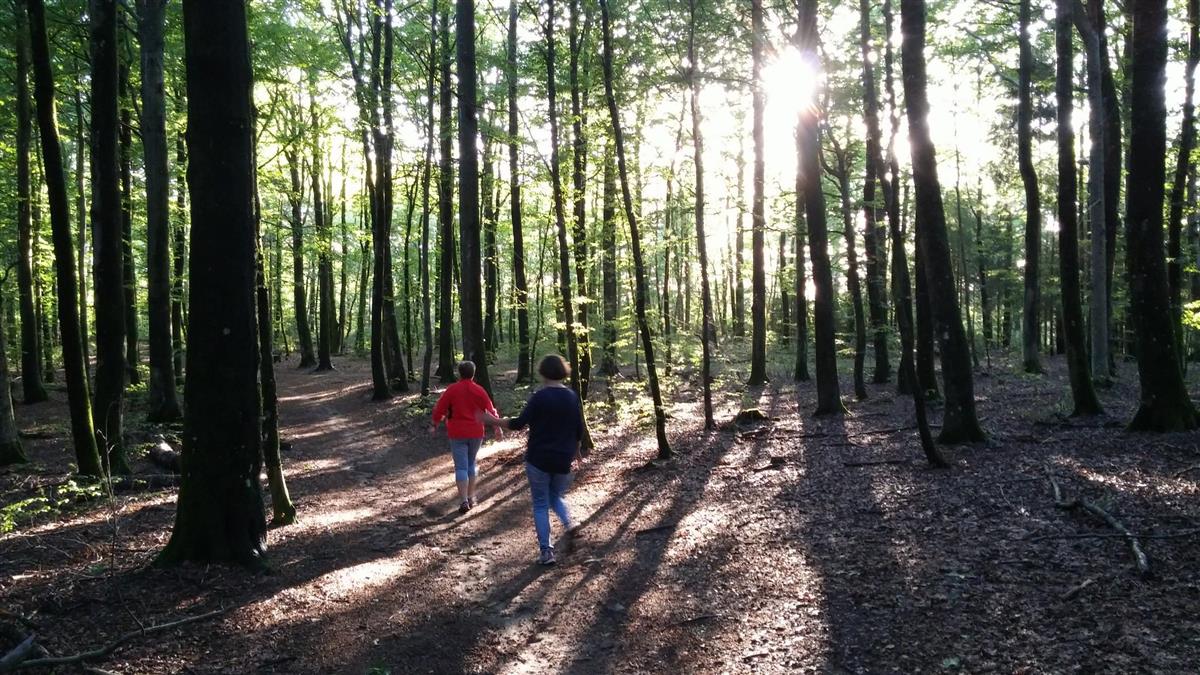 Teieskogen - Færder kommune